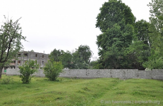 Save the Chinar: The Endangered Heritage of the Oriental Plane Trees of ...